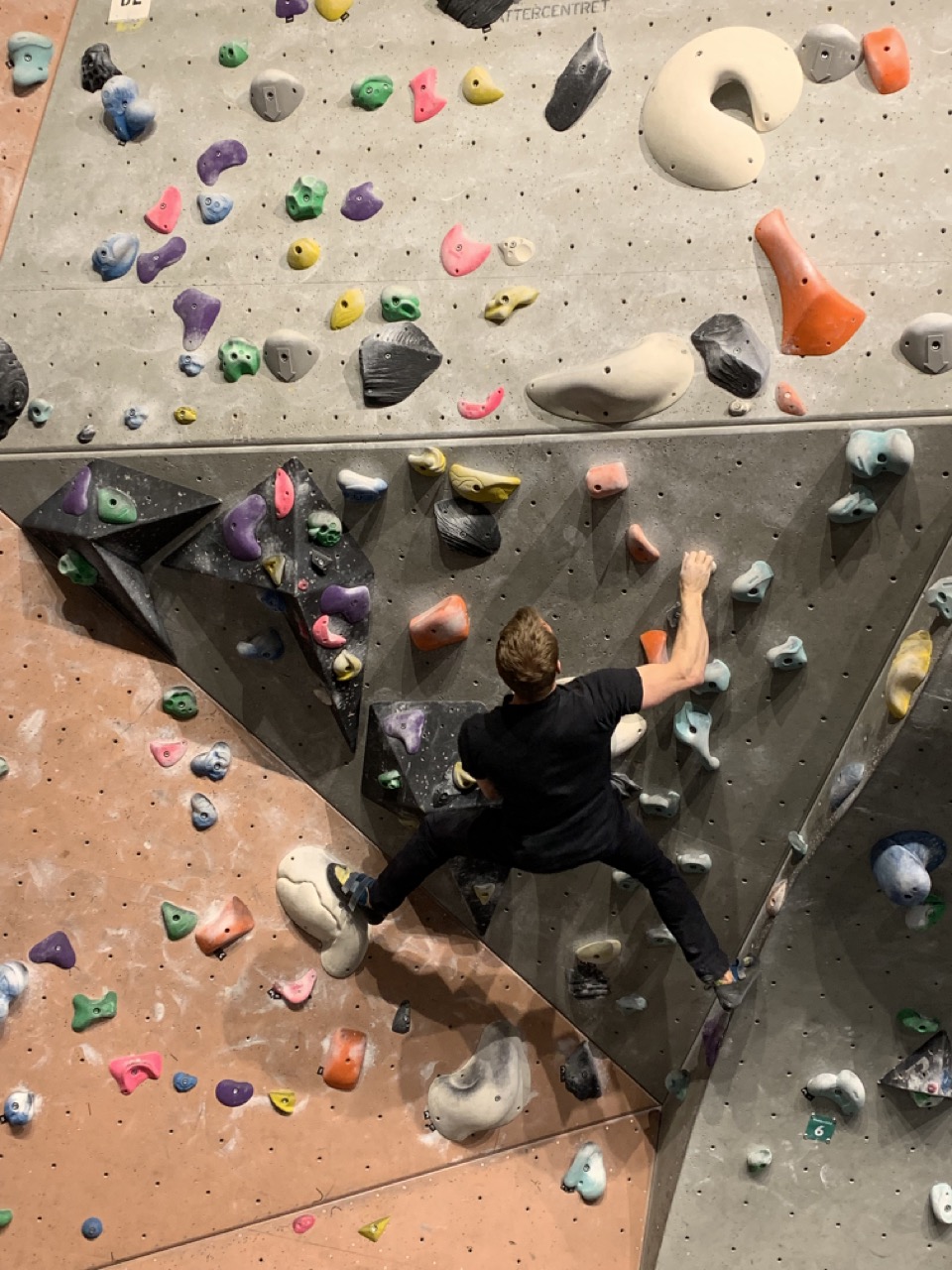 Introducing Jeremy Metz: A Multifaceted Research Engineer Joins AICell Lab | AICell Lab