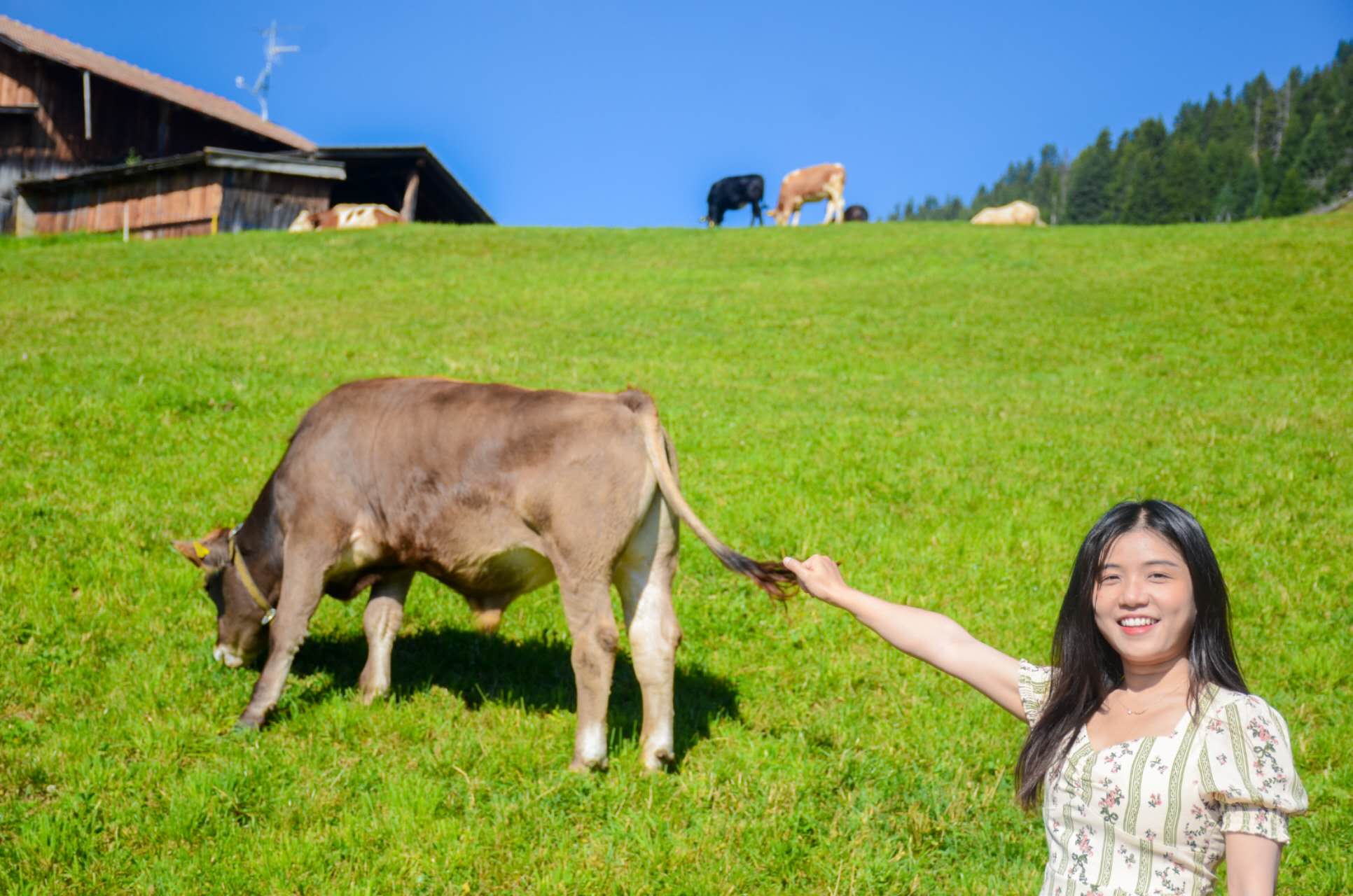 Welcoming Yanhong Su to the AICell Lab: Spearheading the Self-Driving Microscopy Project ...